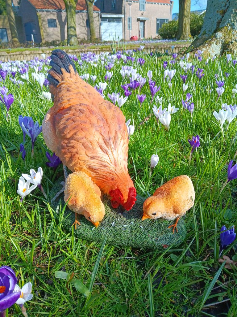 Kip met kuiken — metbloemen.nl